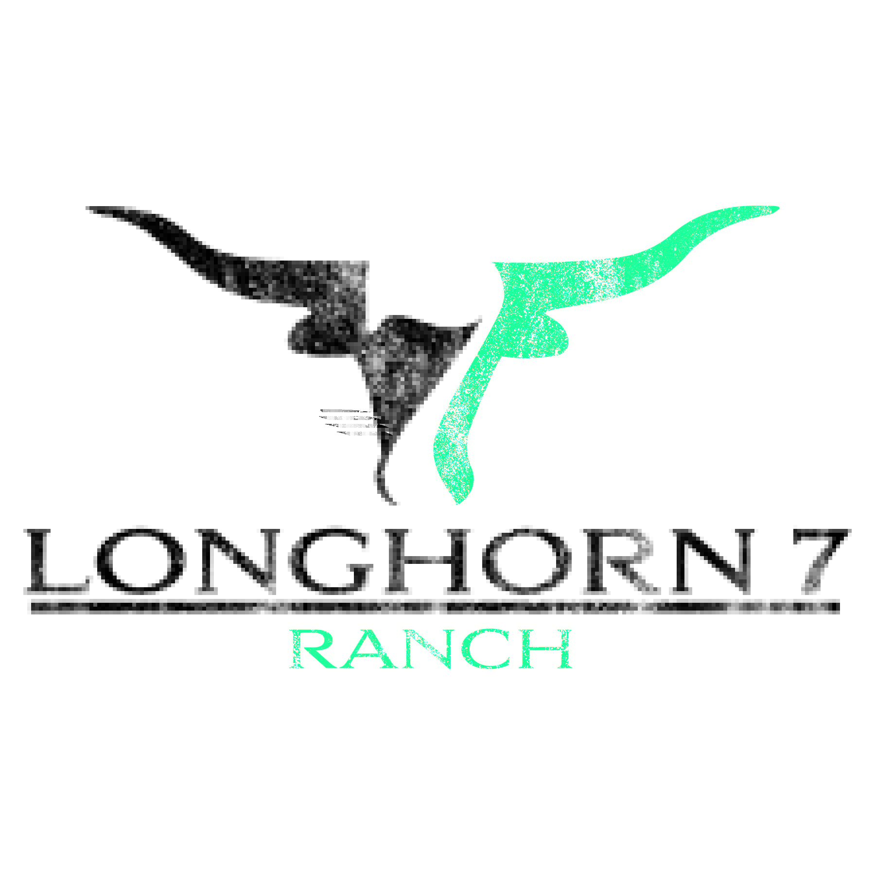 Event Services | Longhorn 7 Ranch Venue Rentals near Fort Worth